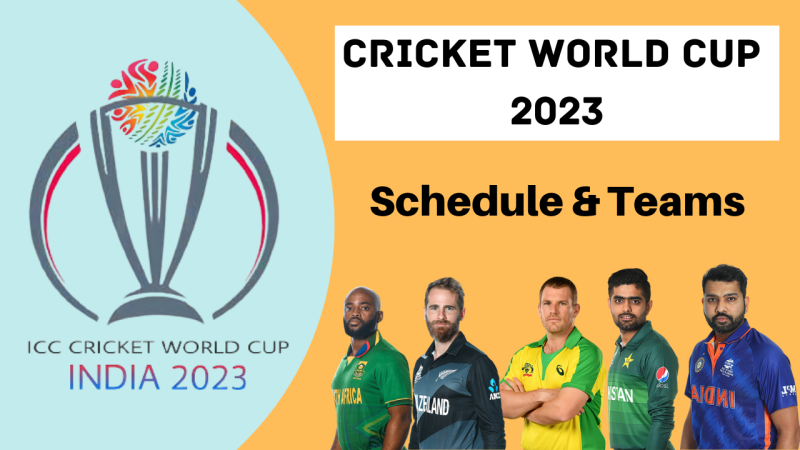 2023 World Cup Cricket - Axycube Solutions Pvt Ltd.