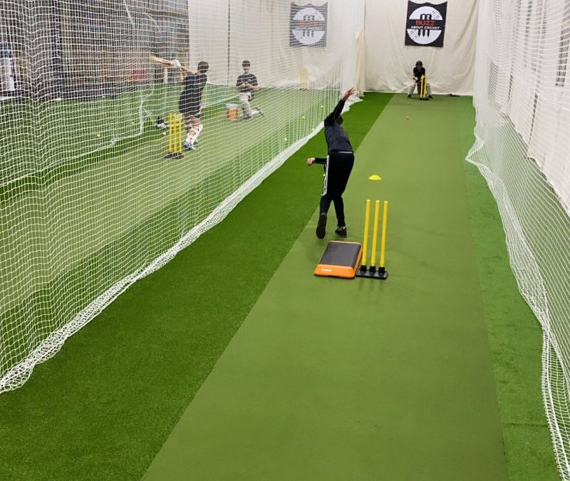 Buzz Cricket - Axycube Solutions Pvt Ltd.