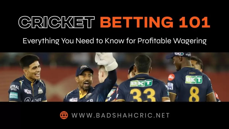 Cricket Bet Tips Guide - Axycube Solutions Pvt Ltd.