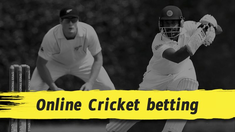 Cricket Bookies In India - Axycube Solutions Pvt Ltd.