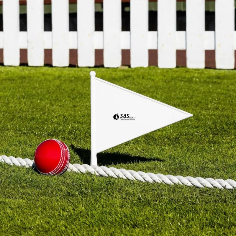 Cricket Line - Axycube Solutions Pvt Ltd.