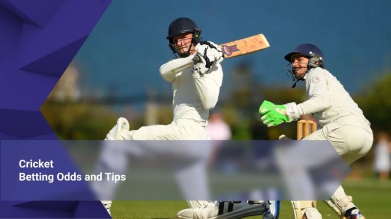 Cricket Rates Online - Axycube Solutions Pvt Ltd.