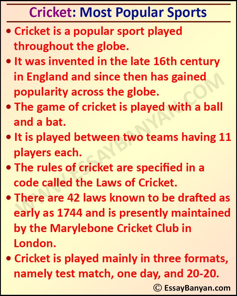 Cricket Speech - Axycube Solutions Pvt Ltd.