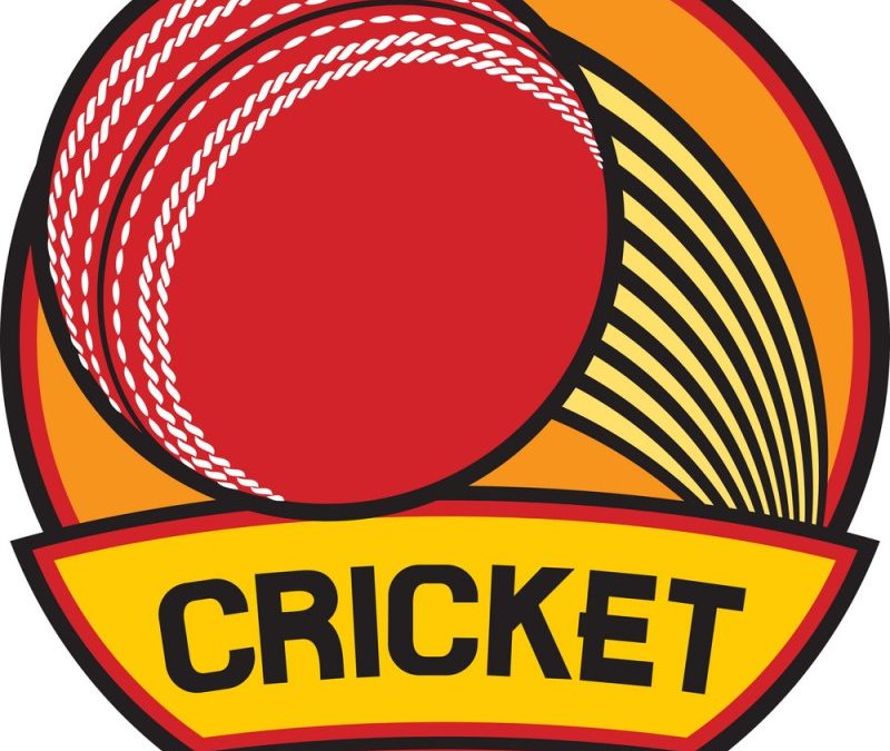 Cricket Symbol - Axycube Solutions Pvt Ltd.