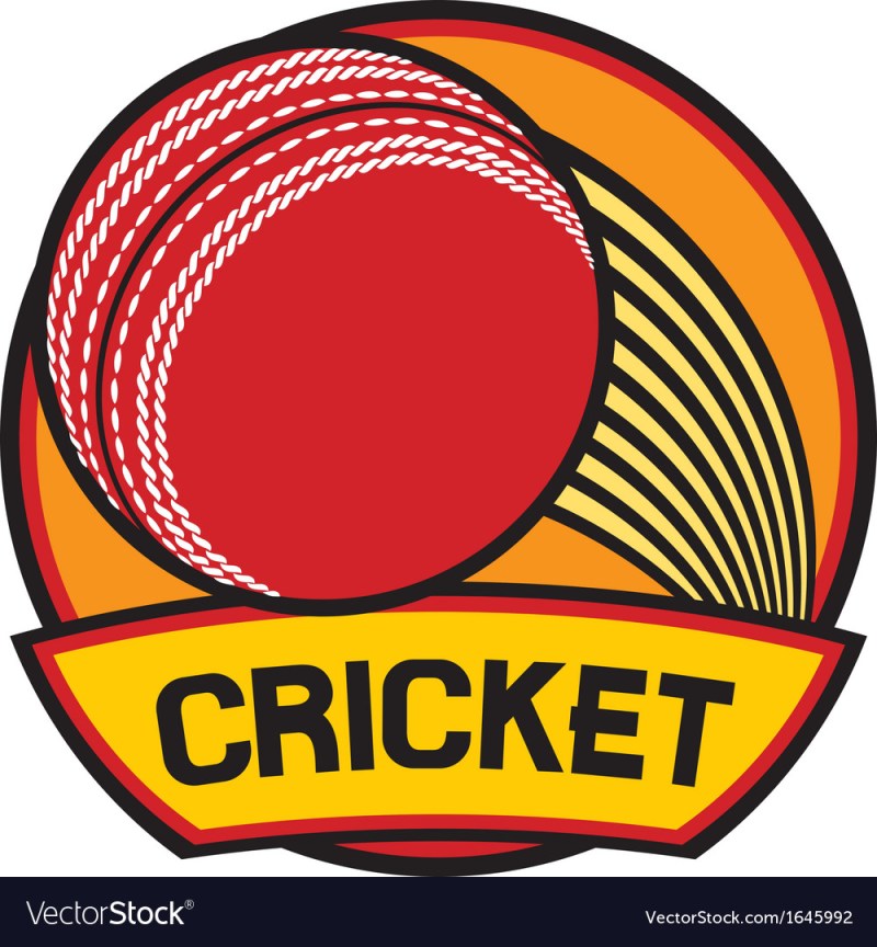 Cricket Symbol - Axycube Solutions Pvt Ltd.