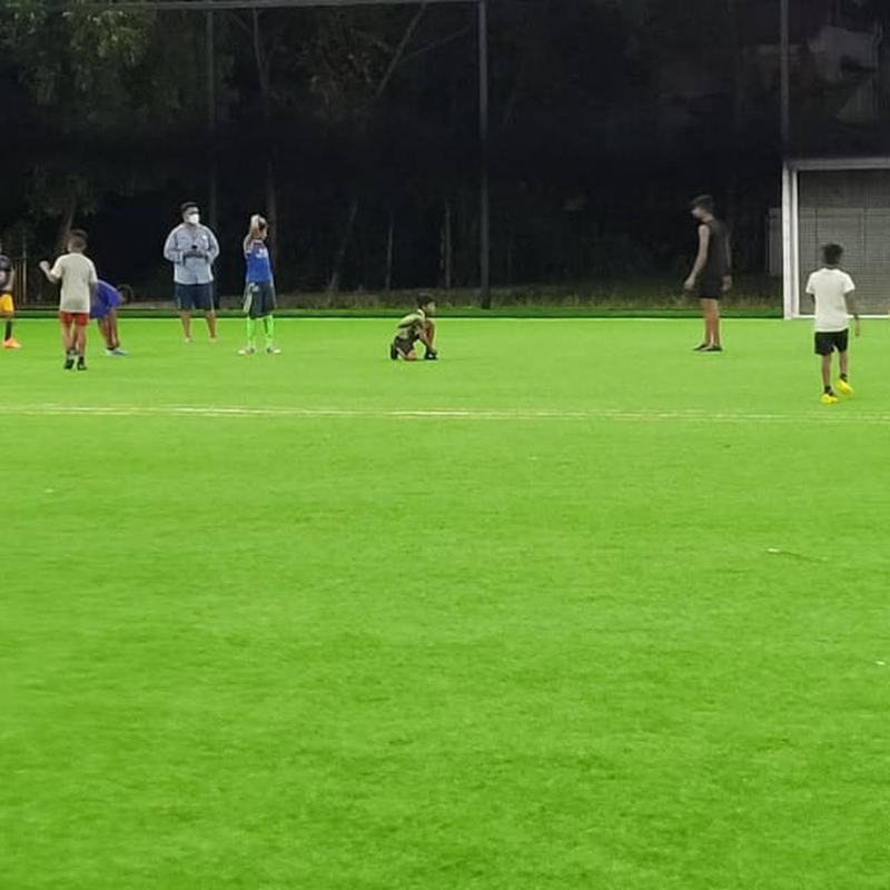 Cricket Turf - Axycube Solutions Pvt Ltd.