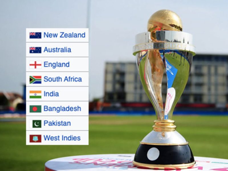 Cricket World - Axycube Solutions Pvt Ltd.