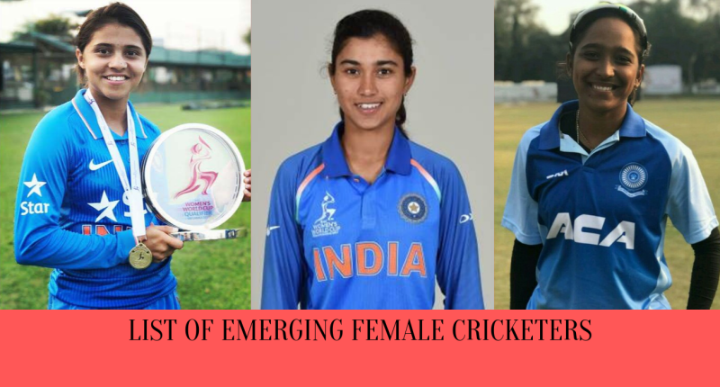 Girls Cricket Team - Axycube Solutions Pvt Ltd.