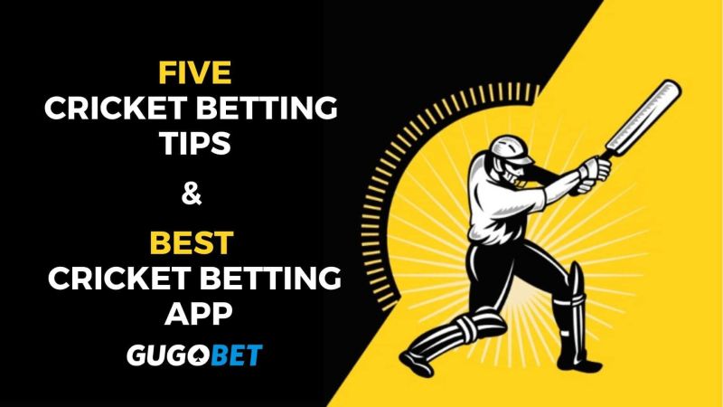 How To Analyze A Cricket Bet - Axycube Solutions Pvt Ltd.