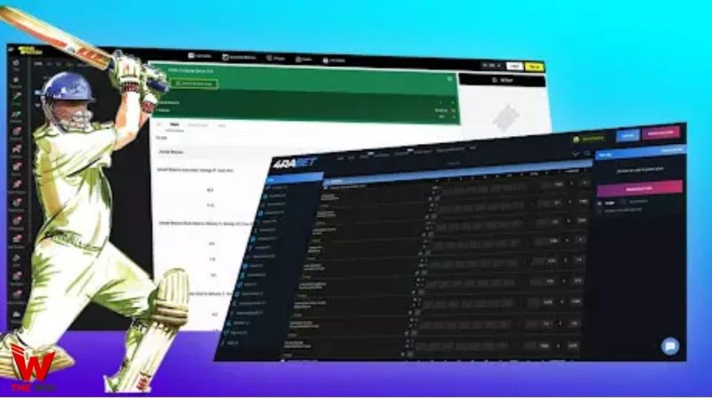 How To Create Cricket Betting Website - Axycube Solutions Pvt Ltd.