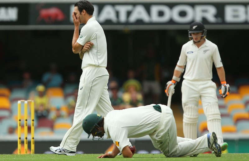 Leg Cricket - Axycube Solutions Pvt Ltd.