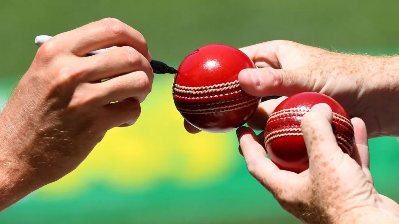 Types Of Cricket Bets: Understanding The Basics - Axycube Solutions Pvt ...