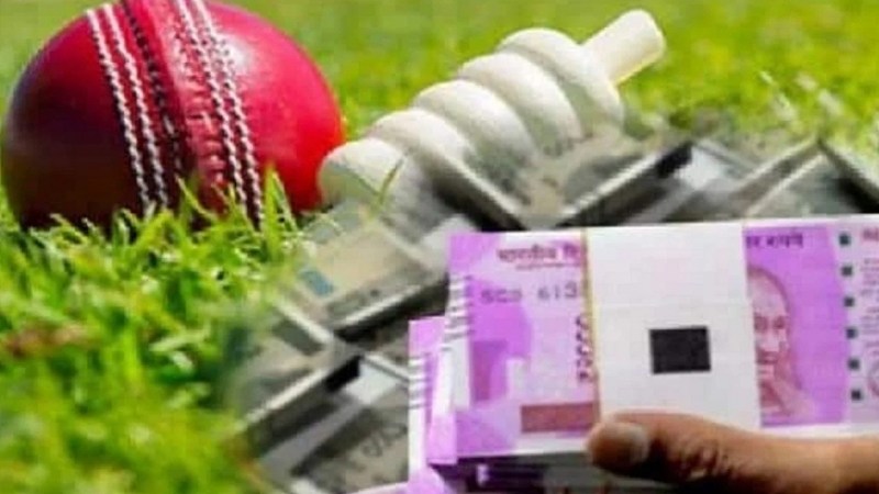 Live Cricket Satta - Axycube Solutions Pvt Ltd.